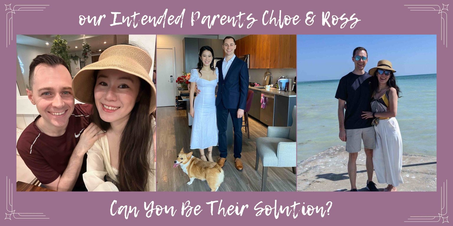 Meet Chloe & Ross, can you be their solution? - Egg Donor & Surrogate Solutions