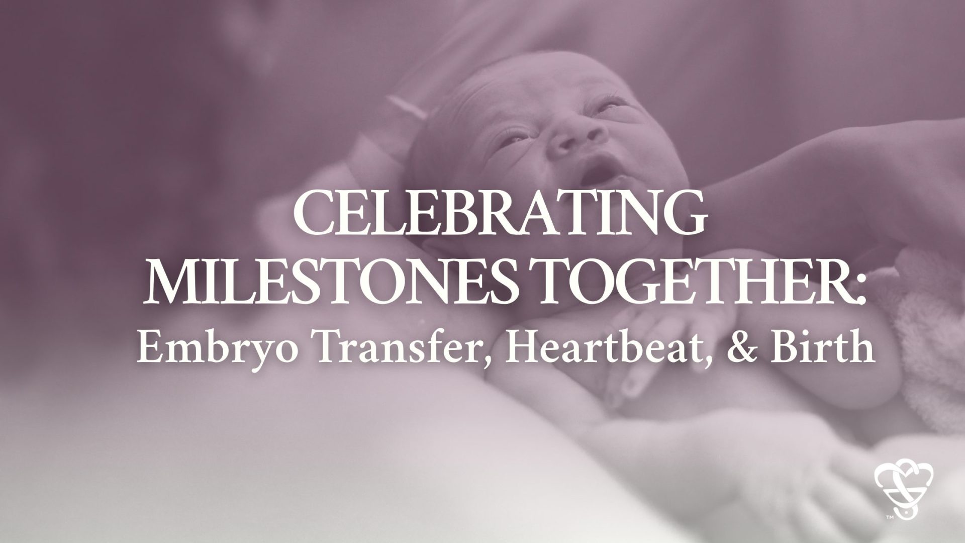 Celebrating Milestones Together: Embryo Transfer, Heartbeat, & Birth ...